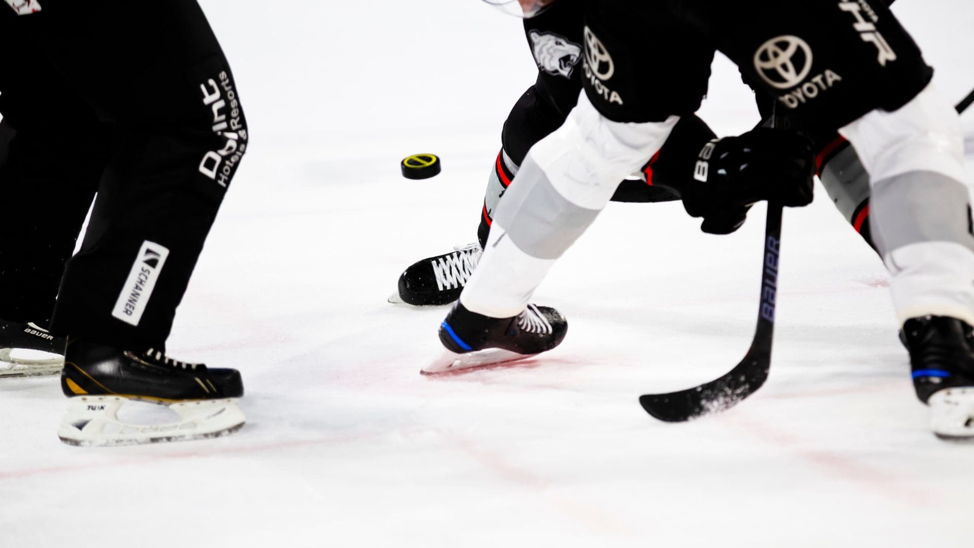 British Ice Hockey | Latest News, Features, Fixtures & Results