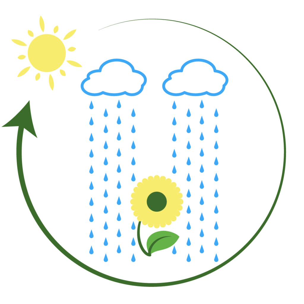 Biogeochemical Cycles: What They Are and How They Work
