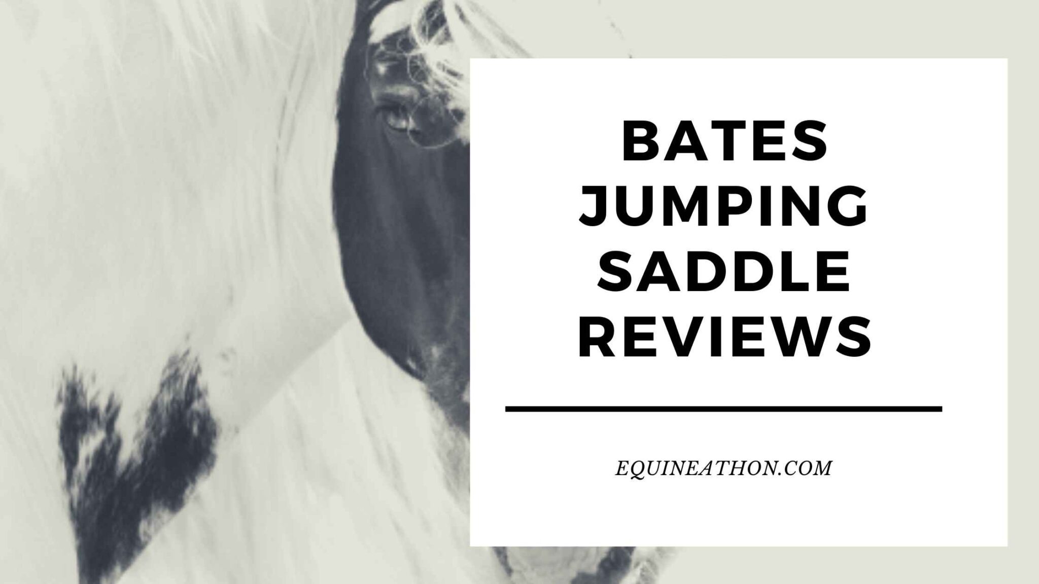 The Best Saddles for High Withered Horses – equineathon.com