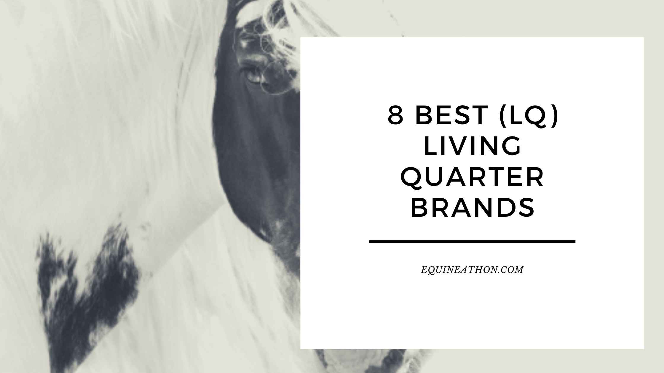 The 8 Best (LQ) Living Quarter Brands – equineathon.com