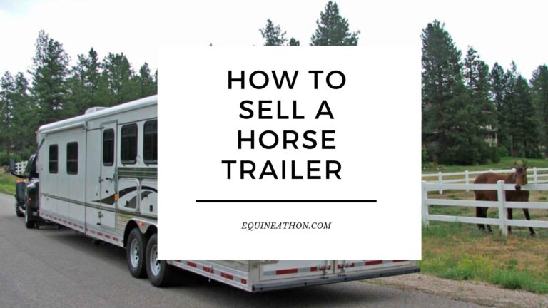 The Intricacies of Maine Trailer Registration – A Firsthand Account ...