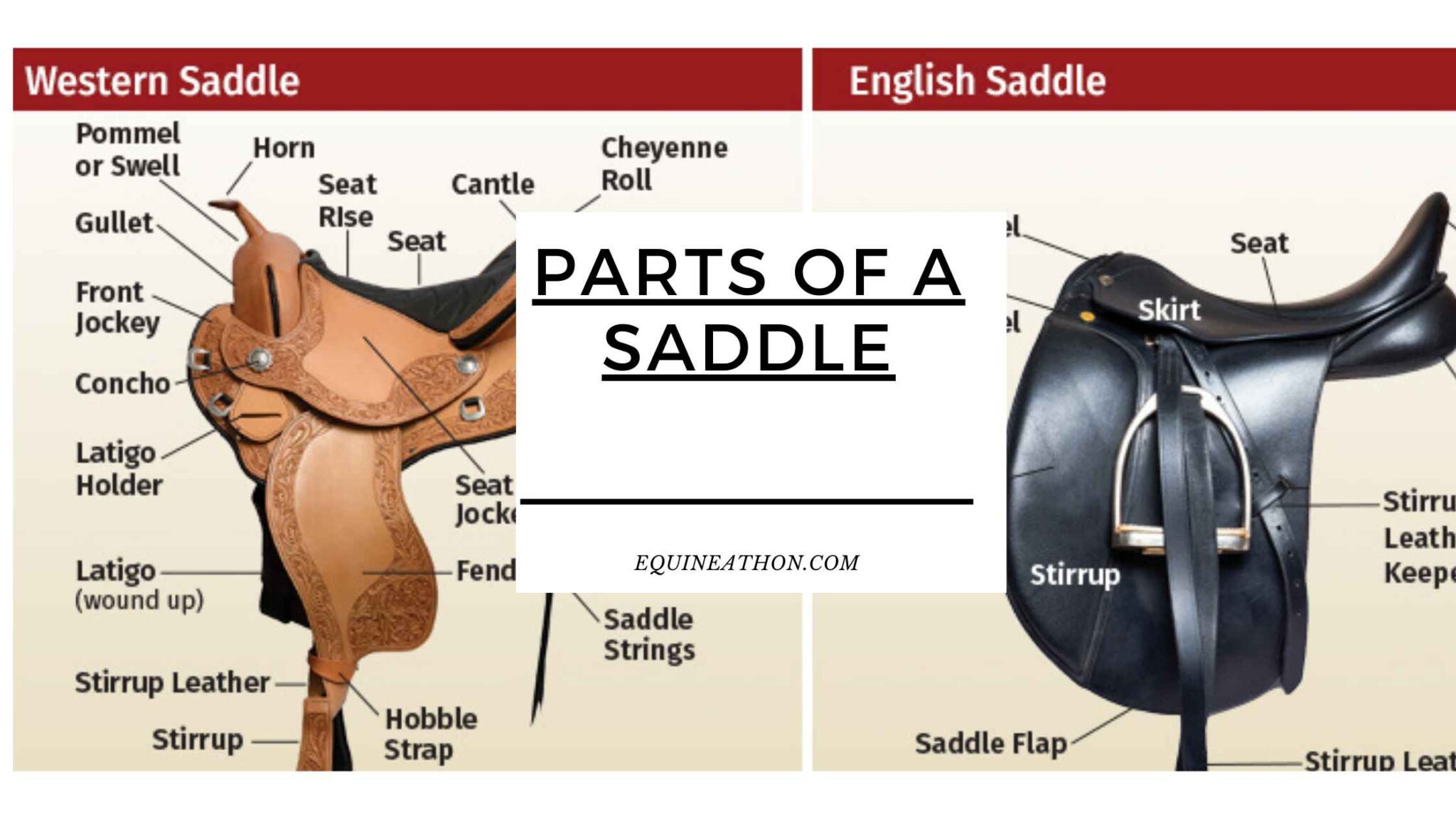 Parts of a Saddle [with Images] – equineathon.com