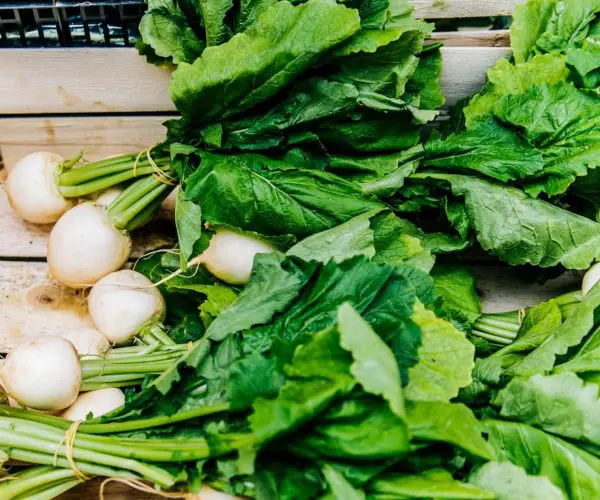 12 Side Effects Of Eating Too Many Radishes