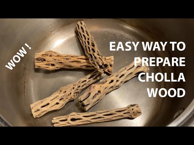 How to Prepare Cholla Wood for Aquarium: Easy Steps!